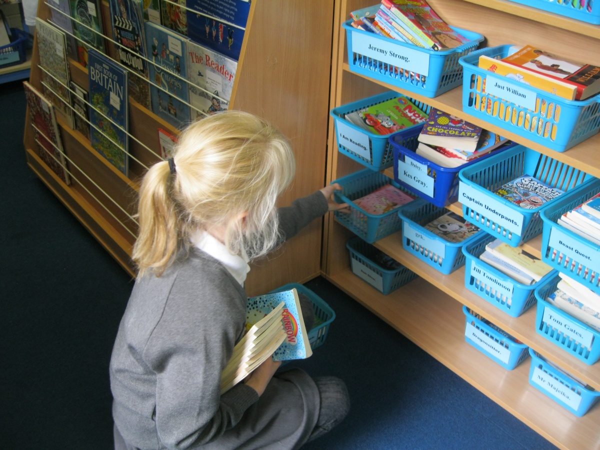 Year 6 Library Visit « Bridgewater School