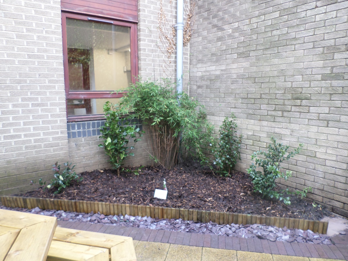 In Loving Memory of Lynn Stephenson « Bridgewater School